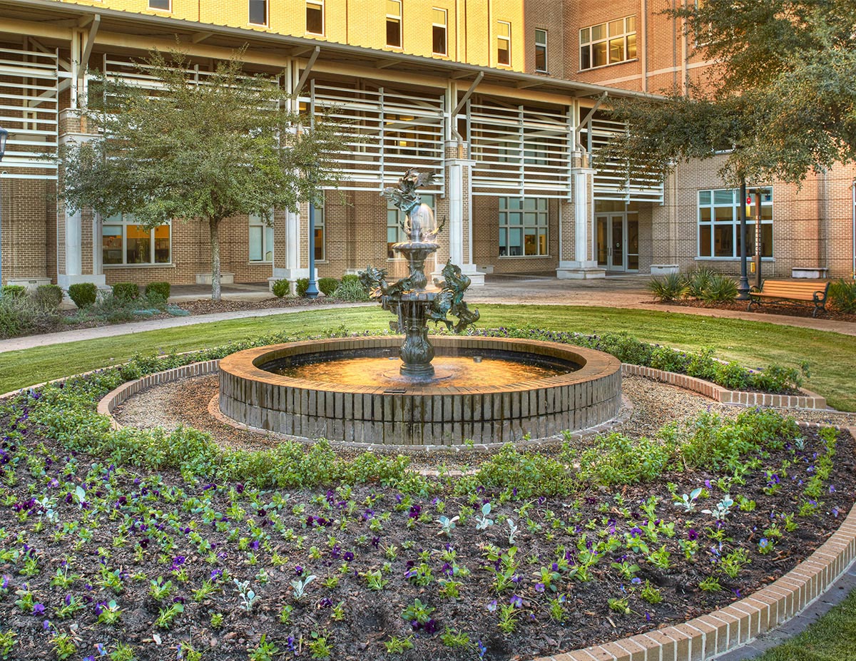 Green Spaces - University History | University of South Carolina