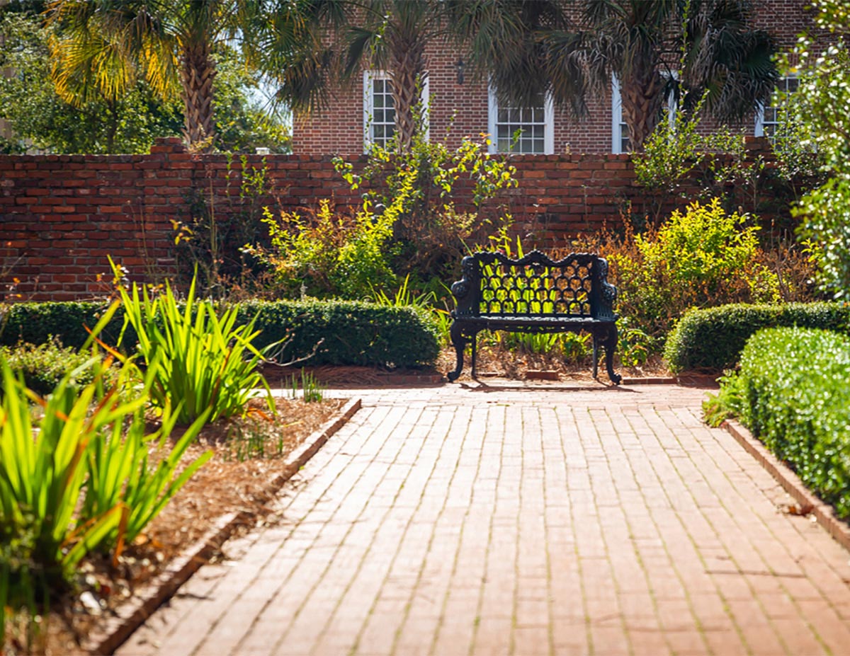 Green Spaces - University History | University of South Carolina